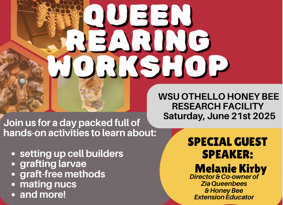 2025 Queen Rearing Workshop – Registration Closed | WSU Honey Bees + Pollinators Program ...